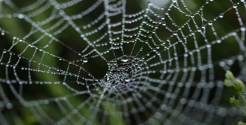 BAILII and the re-use of judgments as public legal information - ICLR