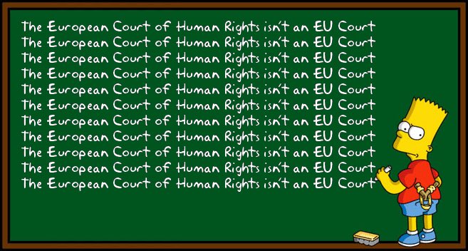 The ECJ and the ECtHR: an updated idiot’s guide - ICLR